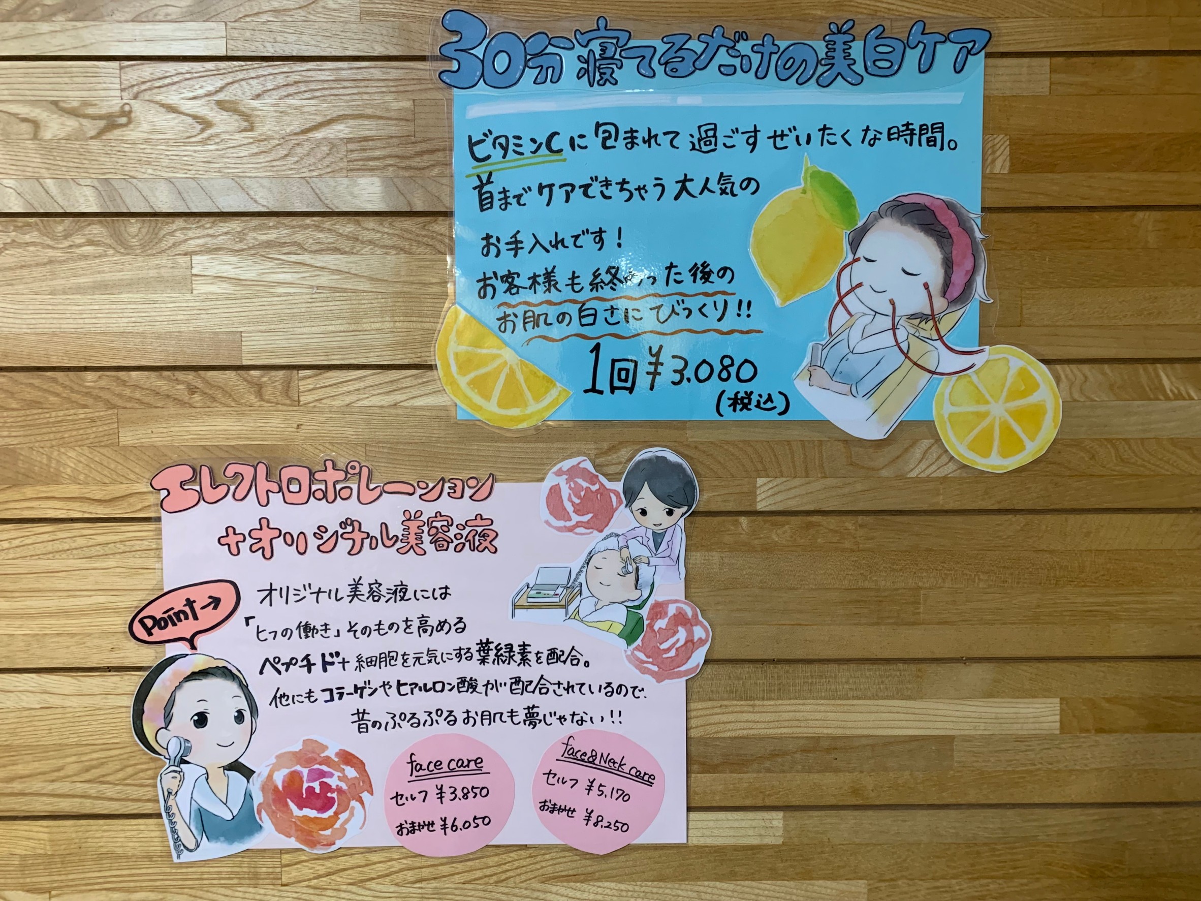 クロロフィル上田美顔教室 – ecpaystore